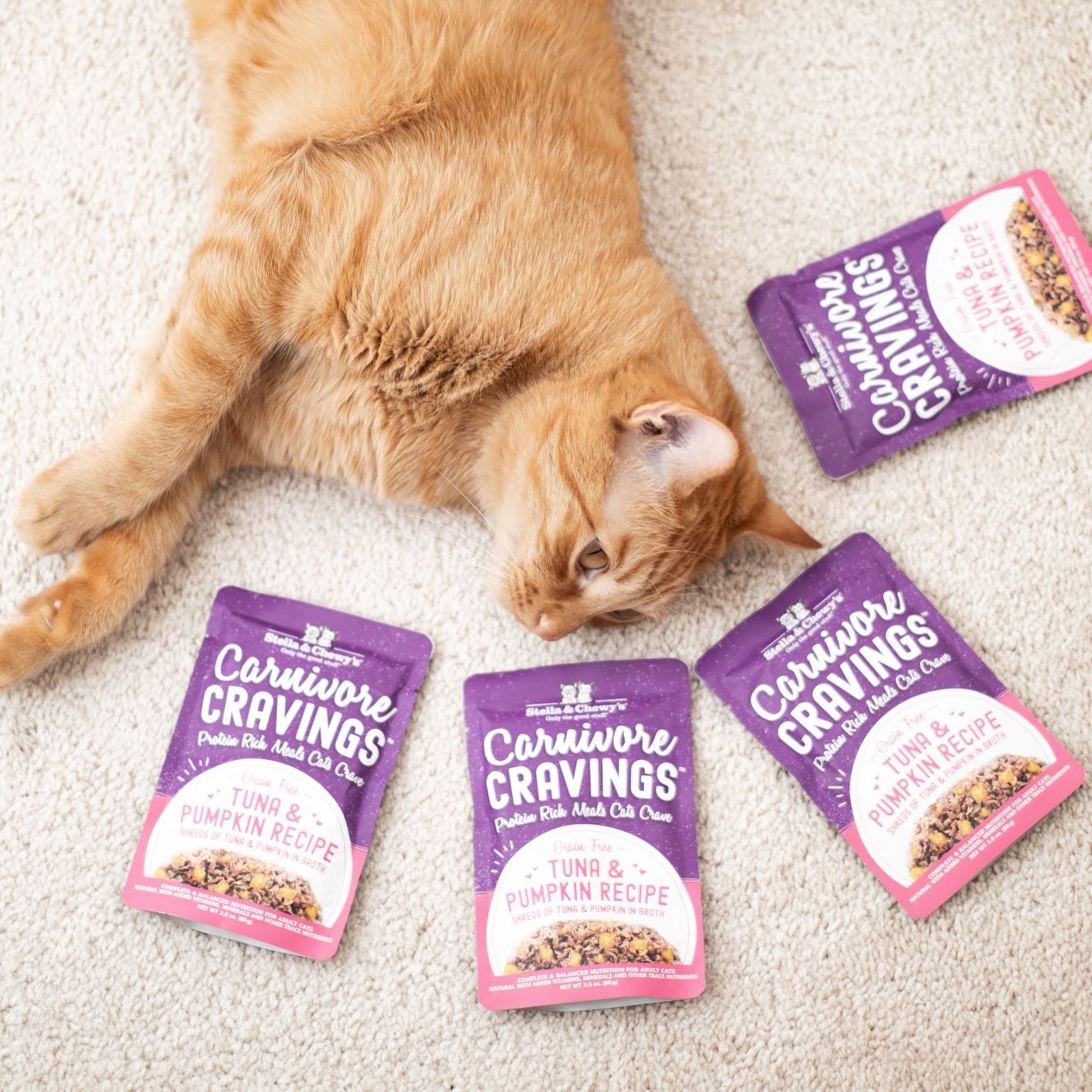 Cat Food Wet – Mr Mochas Pet Supplies